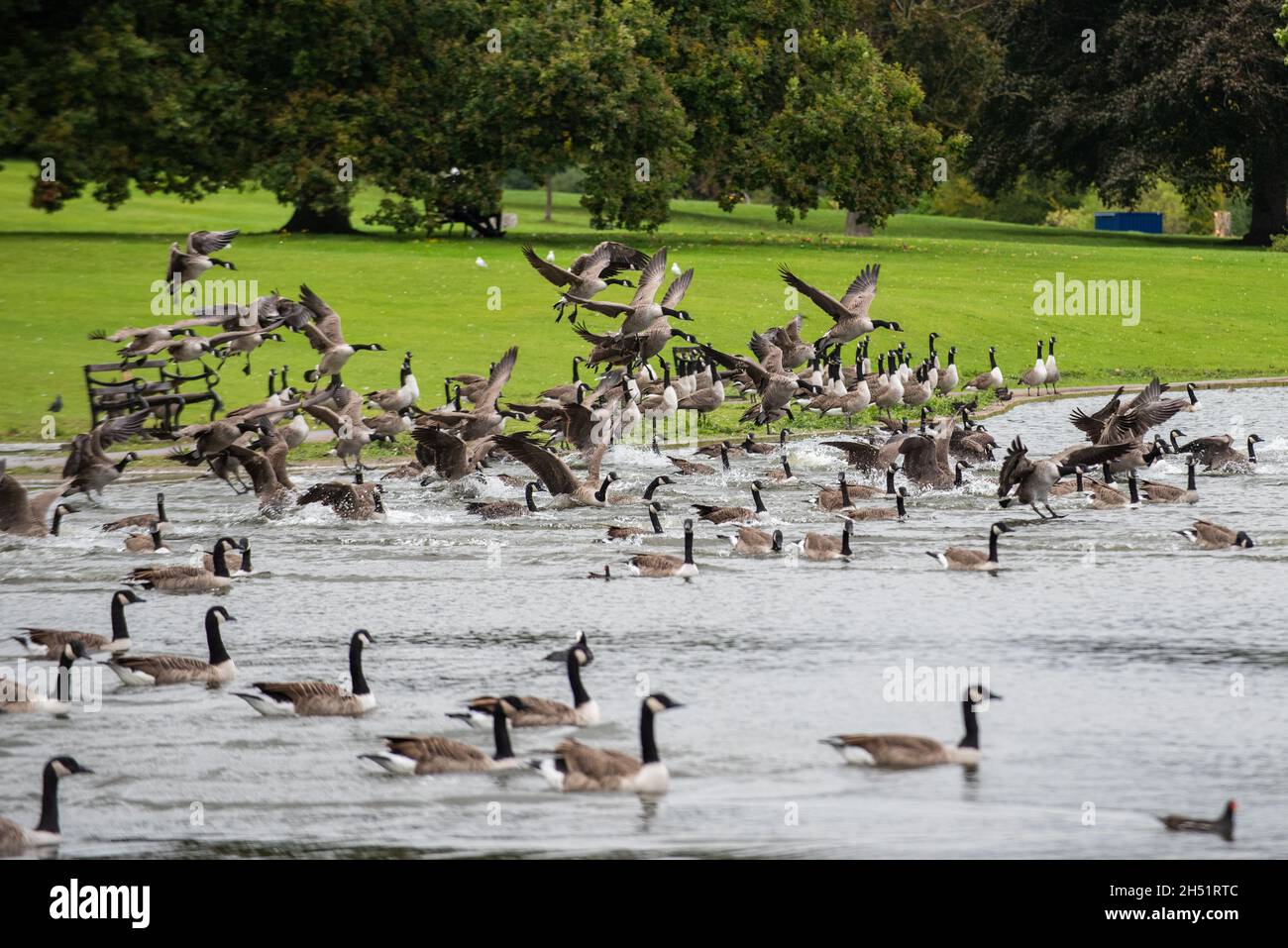 Landing together hi-res stock photography and images - Alamy