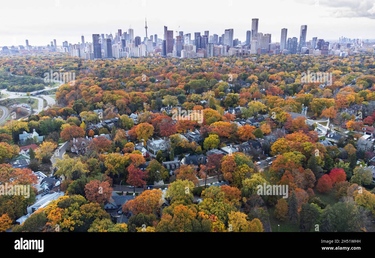 Fall foliage 2021 hi-res stock photography and images - Alamy