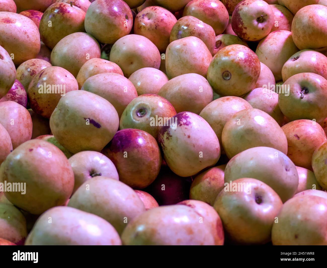 Close-up of a pile of big green dates sold in a vegetable market stall ...