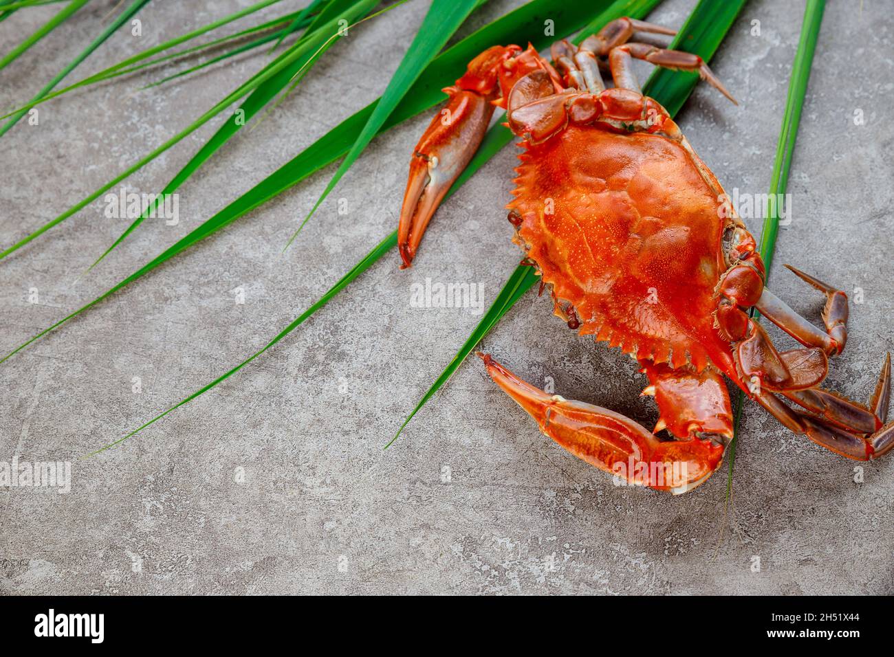 Steamed crab with green grass on a grey surface Stock Photo - Alamy