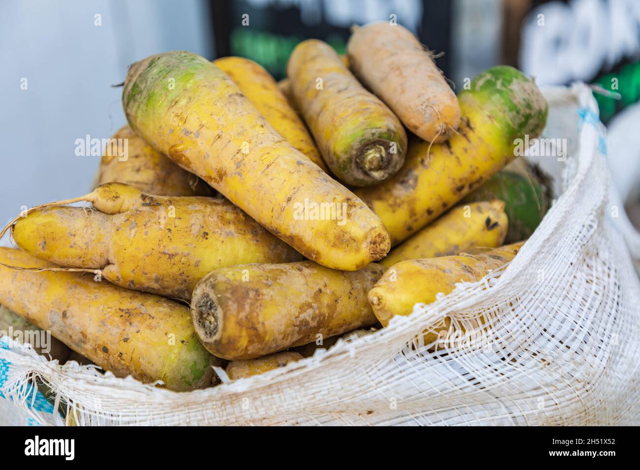 Panjakent, Sughd Province, Tajikistan. Yellow carrots for sale at the ...