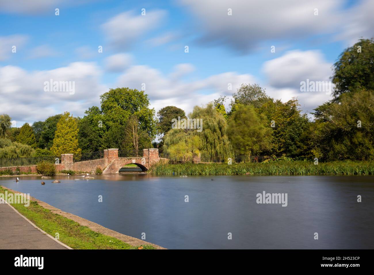 Beautiful lake landscape of water surrounded by trees Stock Photo - Alamy