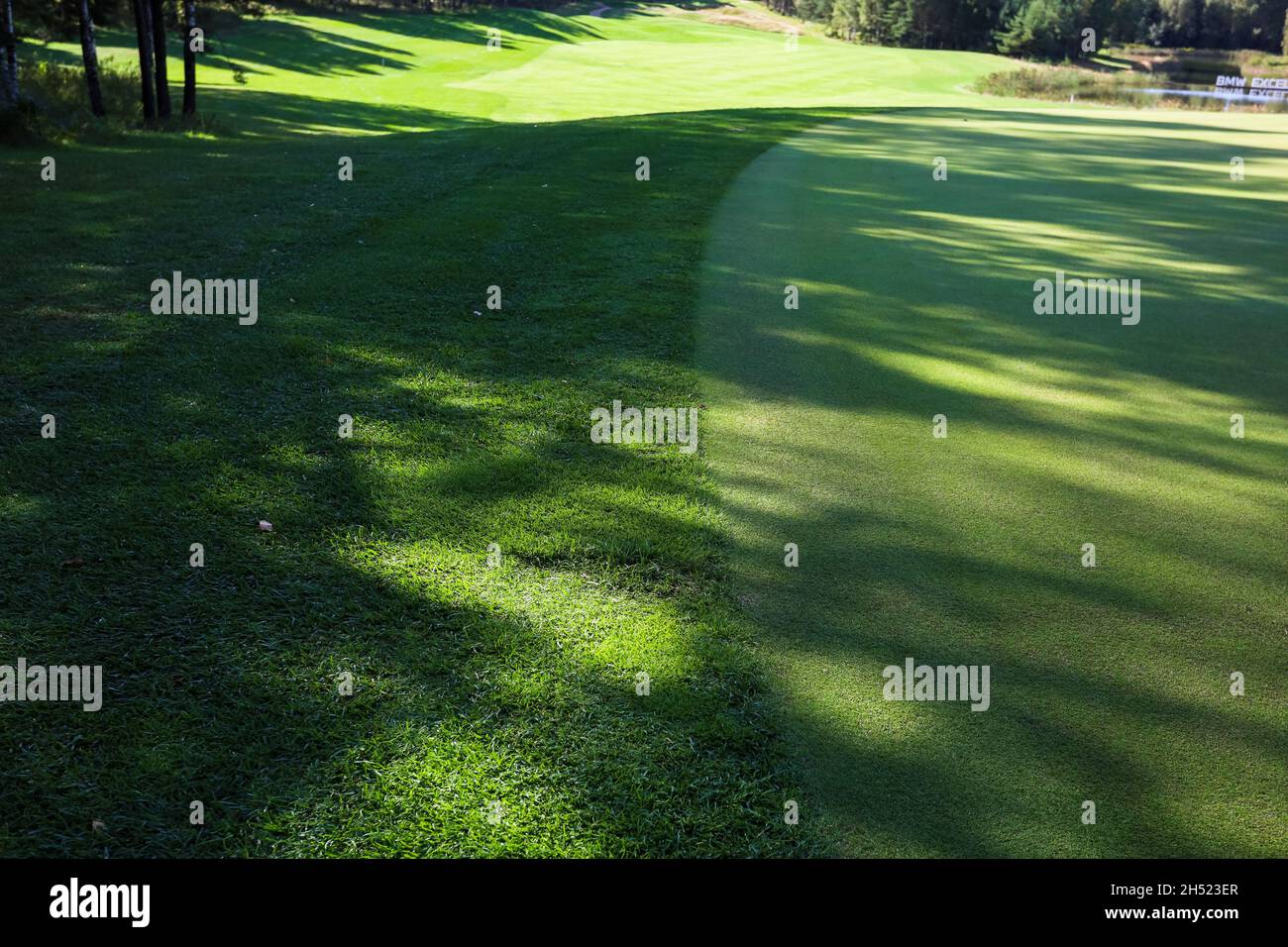 Green grass. Background. Golf course, shadows from trees on the grass ...