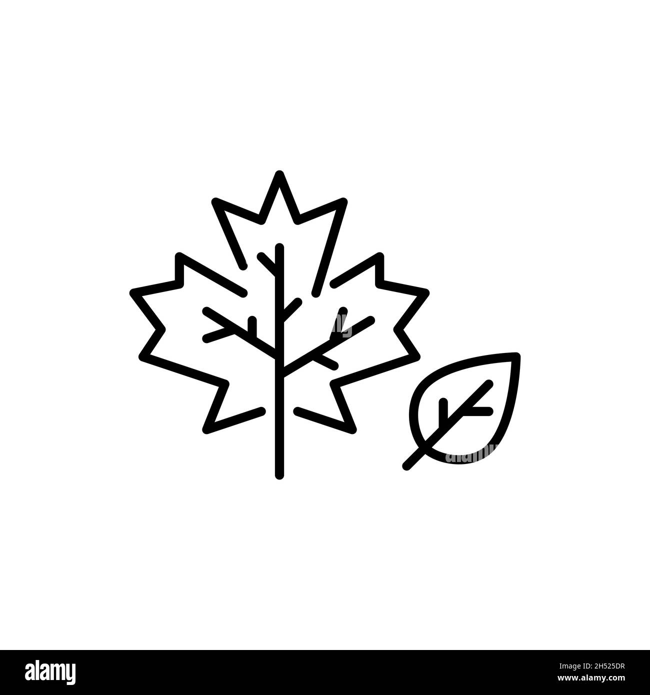 Golden autumn leaves line Cut Out Stock Images & Pictures - Alamy