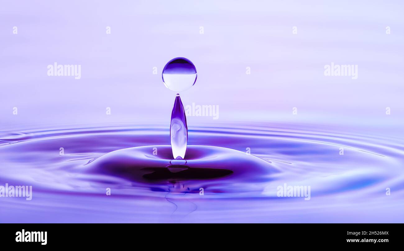 Drop falling on water surface in shades of purple light Stock Photo - Alamy
