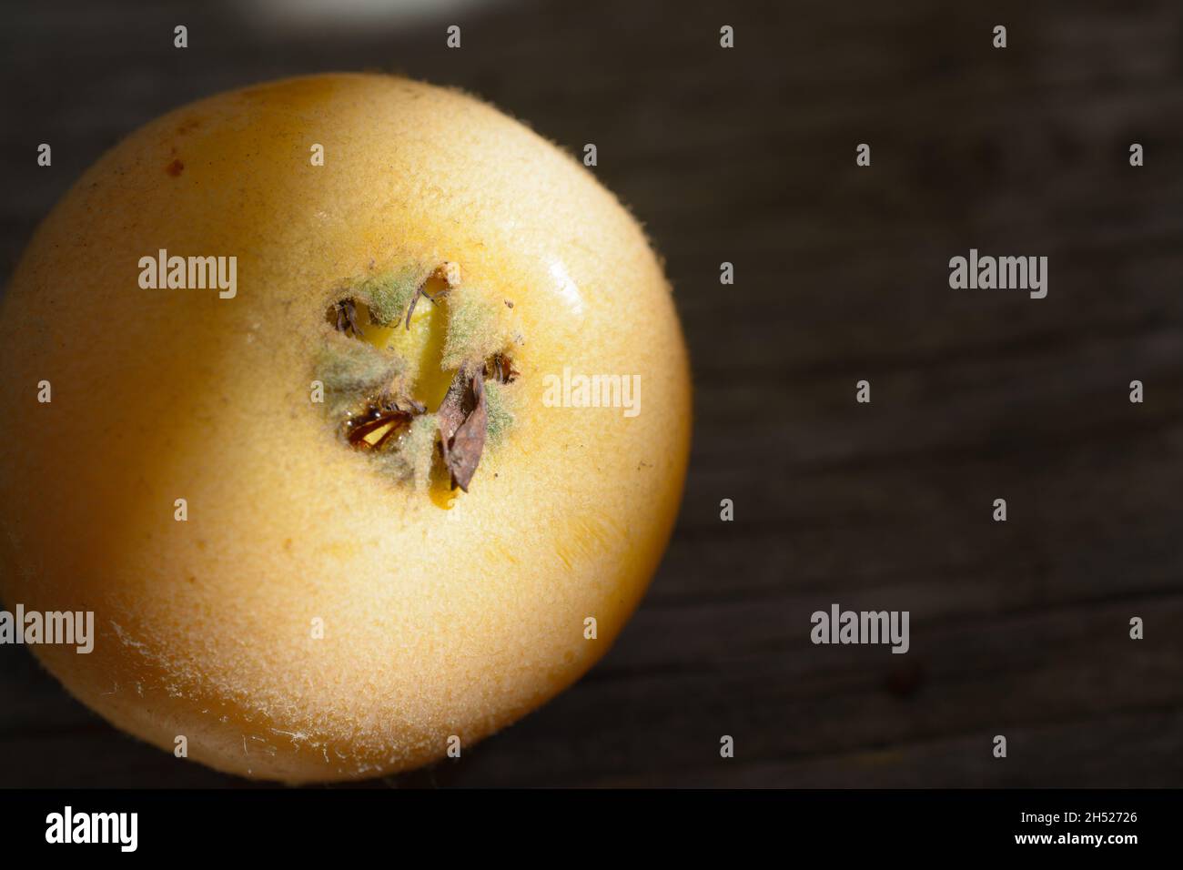 Ripe loquat hi-res stock photography and images - Alamy