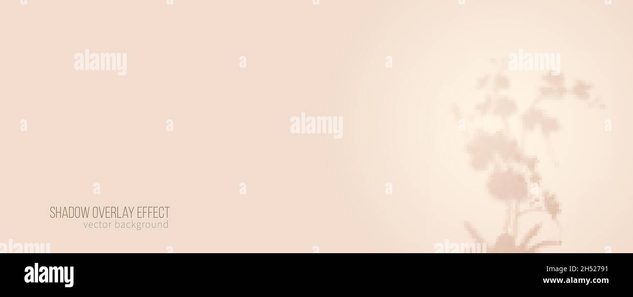 Beige background product presentation Stock Vector Images - Alamy