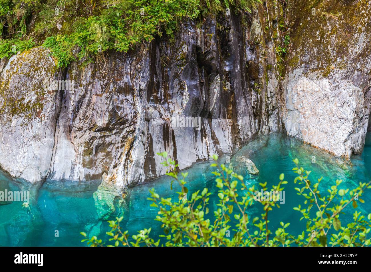 Steep cliffs above the blue water. Beauty of South Island, New Zealand ...