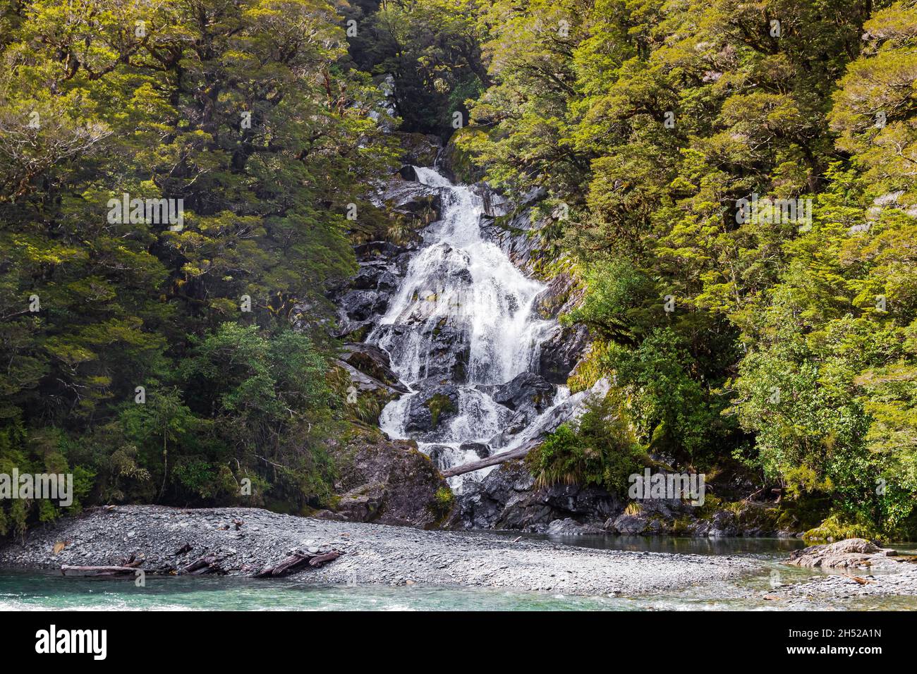 Views of South Island. Small waterfall among the greenery. New Zealand ...