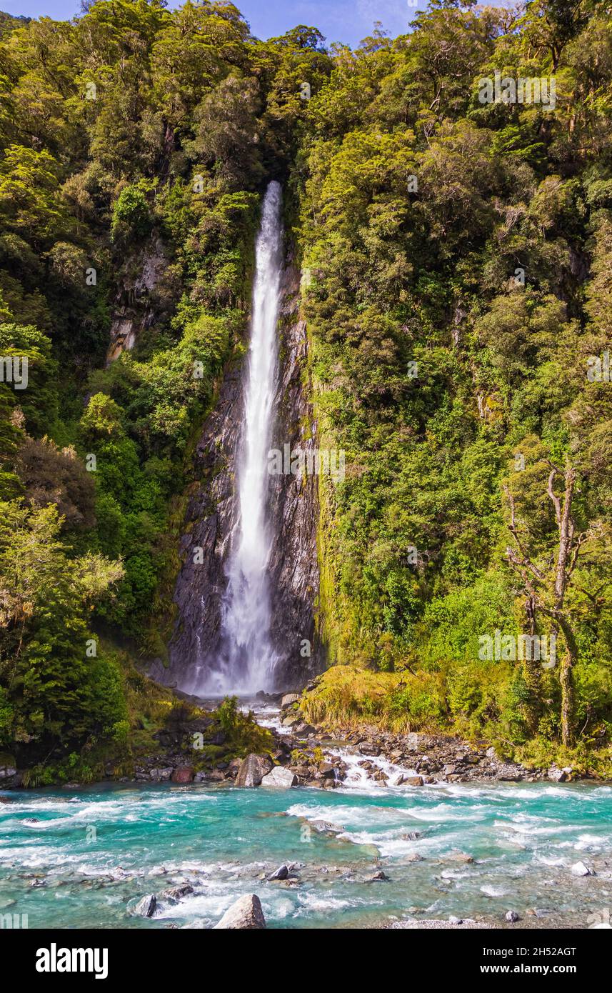 Landscapes of South Island. Small waterfall among the greenery. New ...