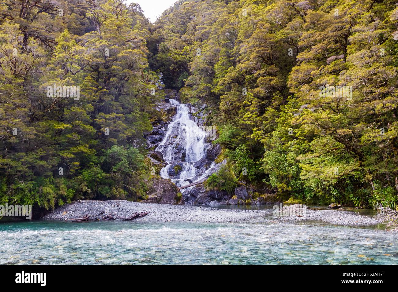 Landscapes of South Island. Waterfall among the greenery. South Island ...