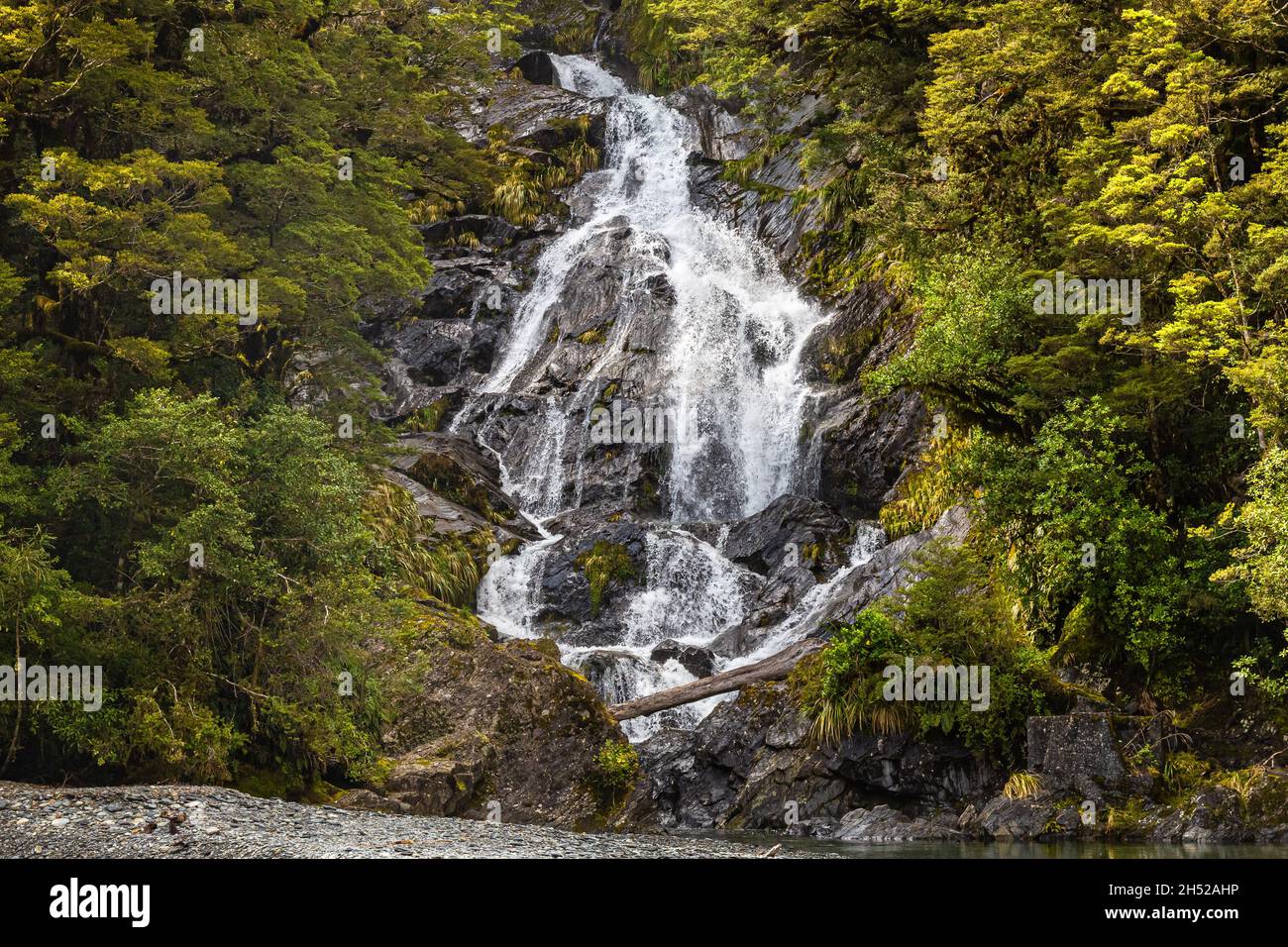 Small waterfalls among trees on hi-res stock photography and images - Alamy