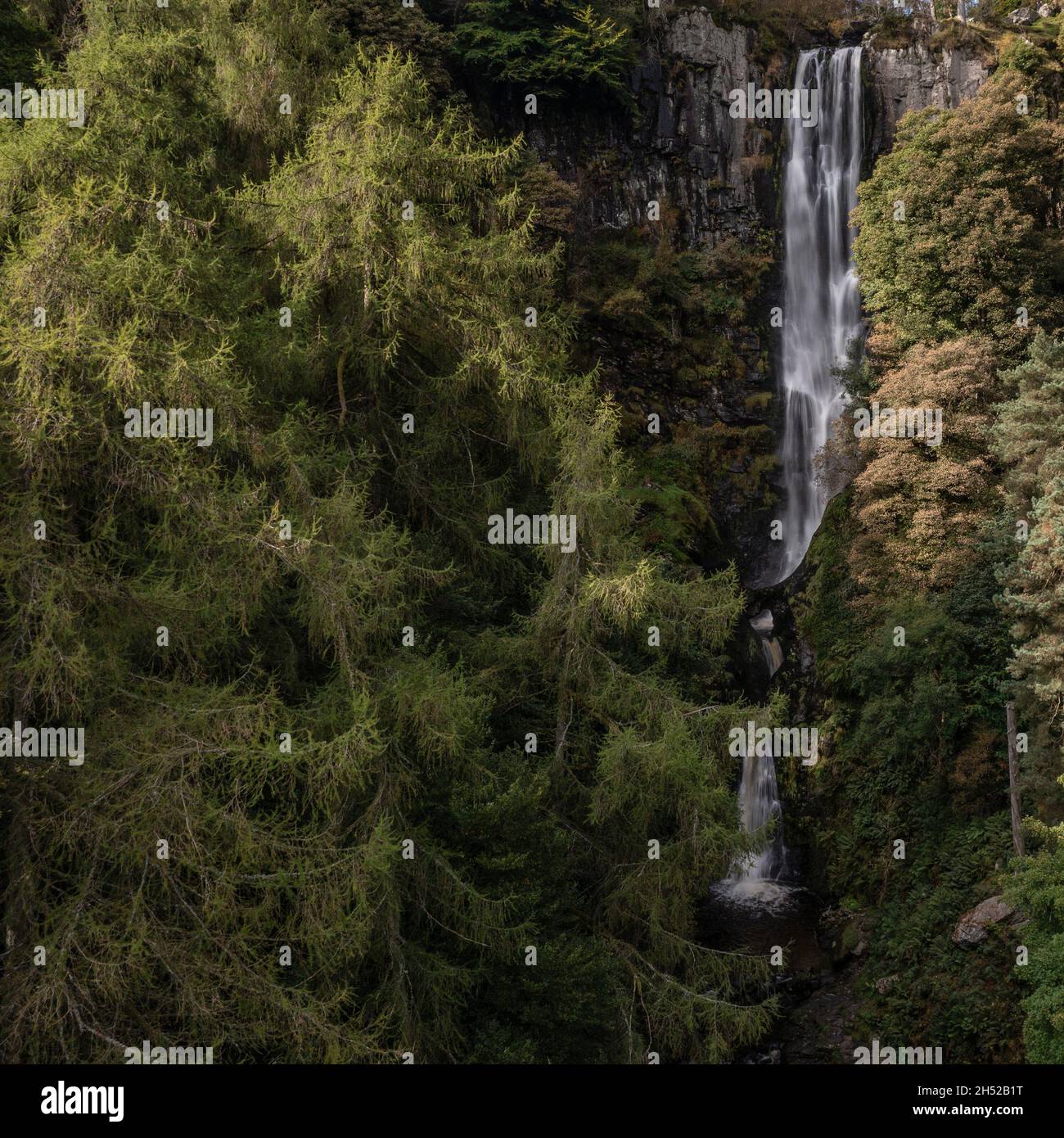 Flying birds snowdonia hi-res stock photography and images - Alamy