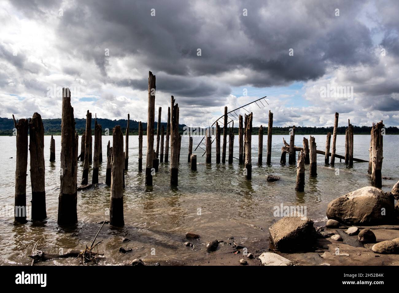 Old abandoned wooded boat dock on the Columbia River Stock Photo - Alamy