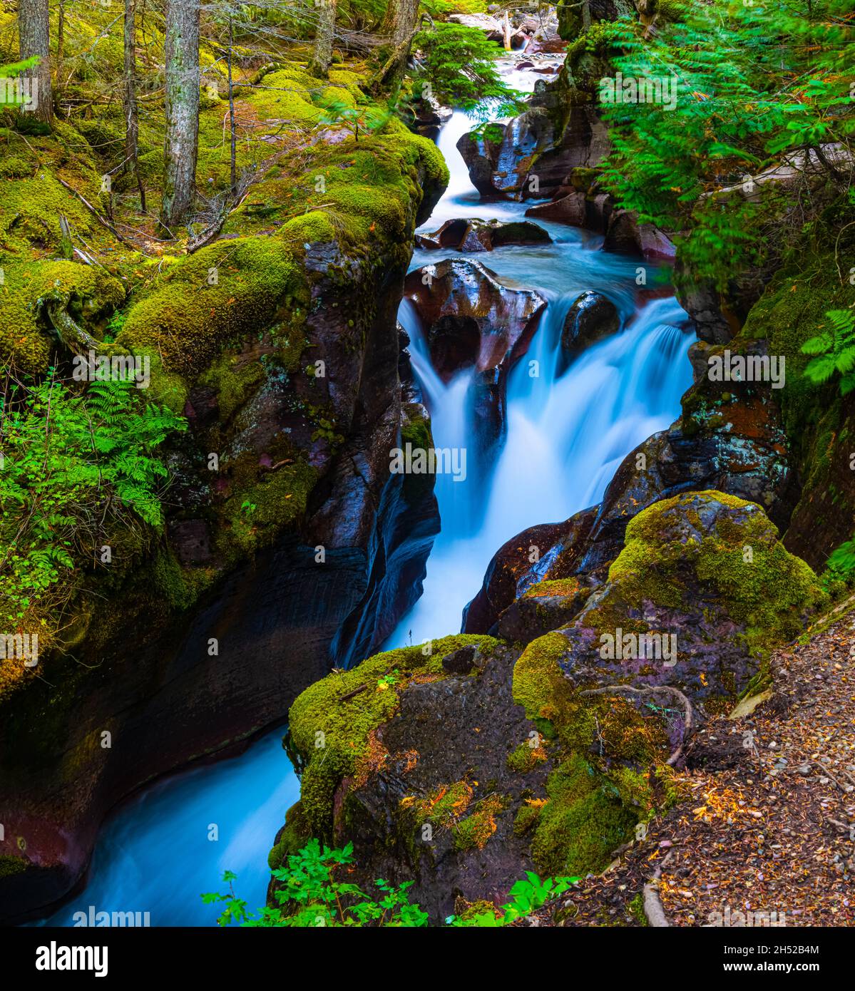 Avalanche Creek Flowing Through Avalanche Gorge in McDonald Valley ...