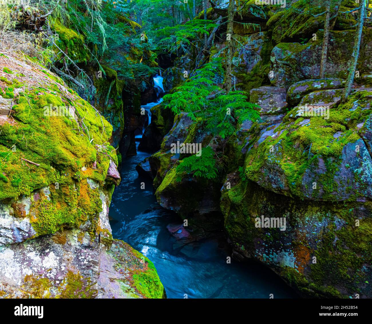 Avalanche Creek Flowing Through Avalanche Gorge in McDonald Valley ...