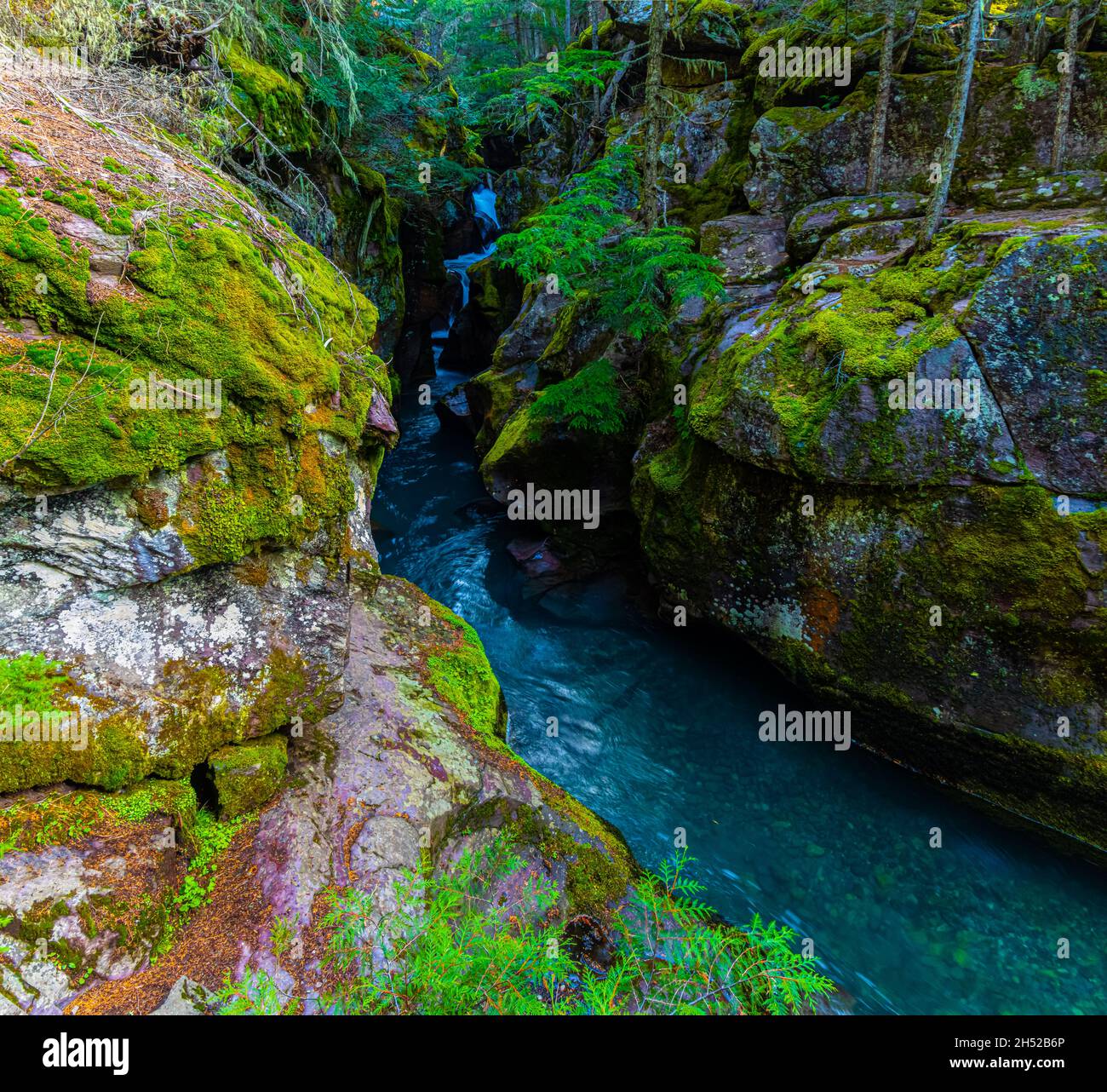 Avalanche Creek Flowing Through Avalanche Gorge in McDonald Valley ...