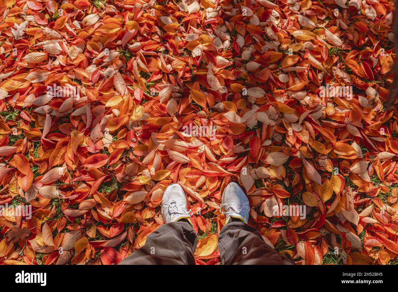 Man fallen ground hi-res stock photography and images - Alamy