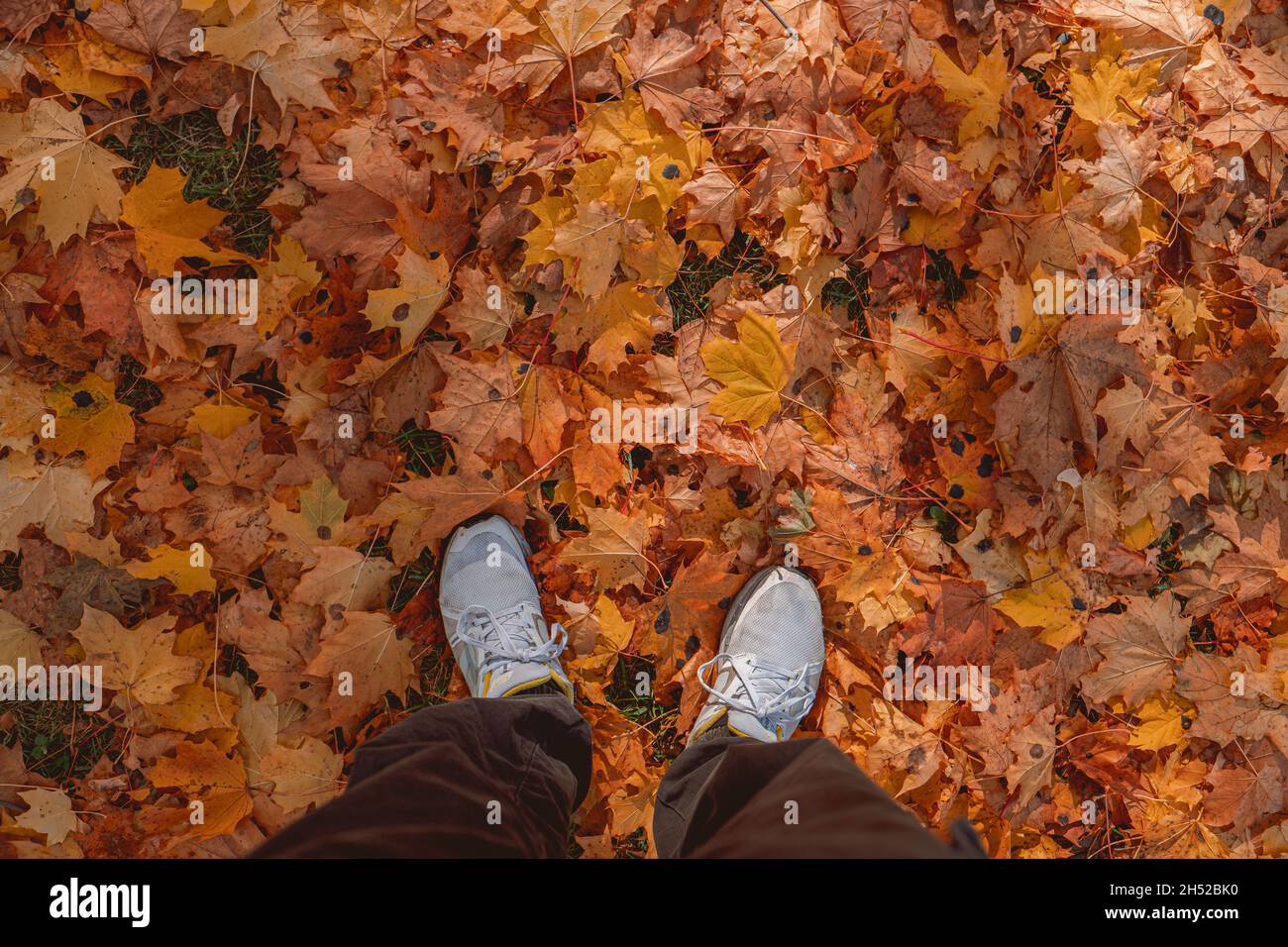 Man fallen ground hi-res stock photography and images - Alamy