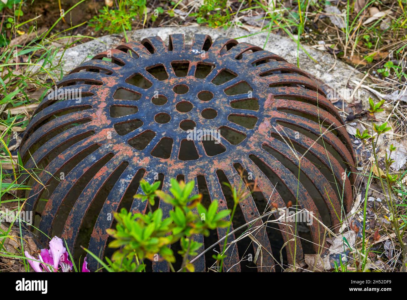 Underground facility vents hidden in the grass Stock Photo - Alamy