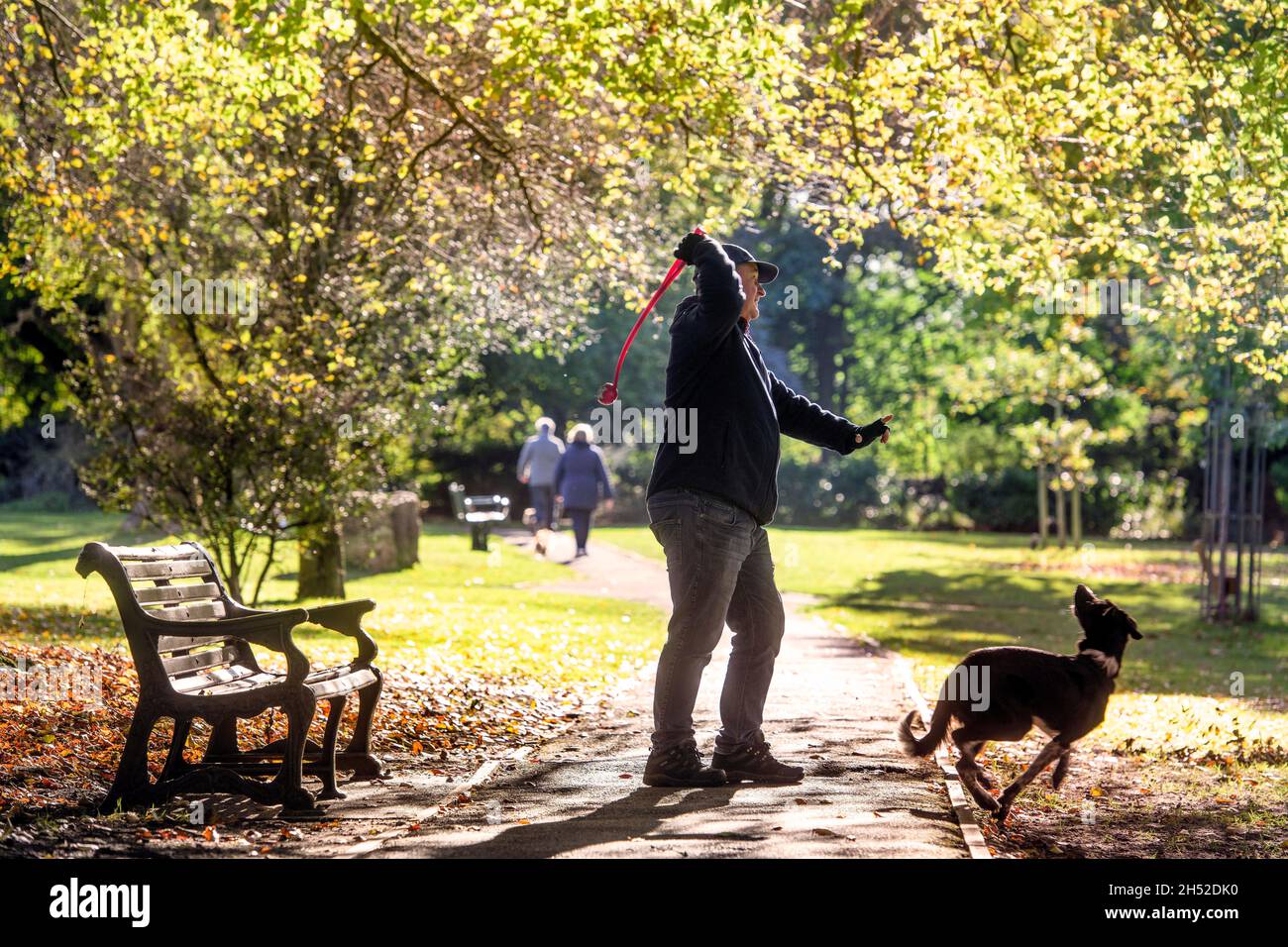A man uses a ball thrower to exercise his dog in Collett Park in ...