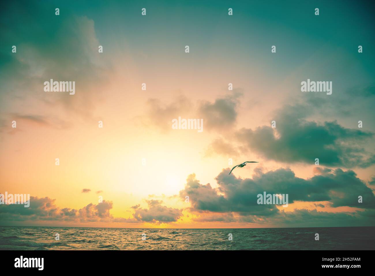 Seascape in the early morning. Sunrise over the sea. Nature landscape ...