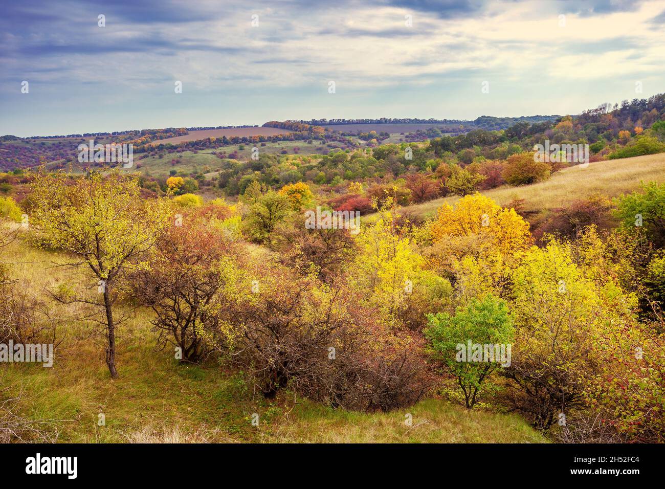 Nature for ukraine hi-res stock photography and images - Alamy