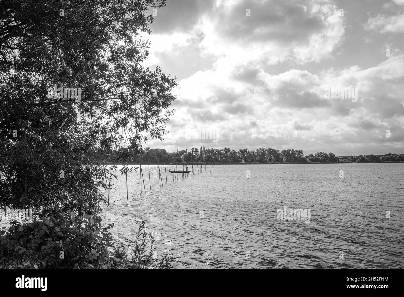 Grayscale shot of a lake and plants on the bay on a cloudy bay Stock ...