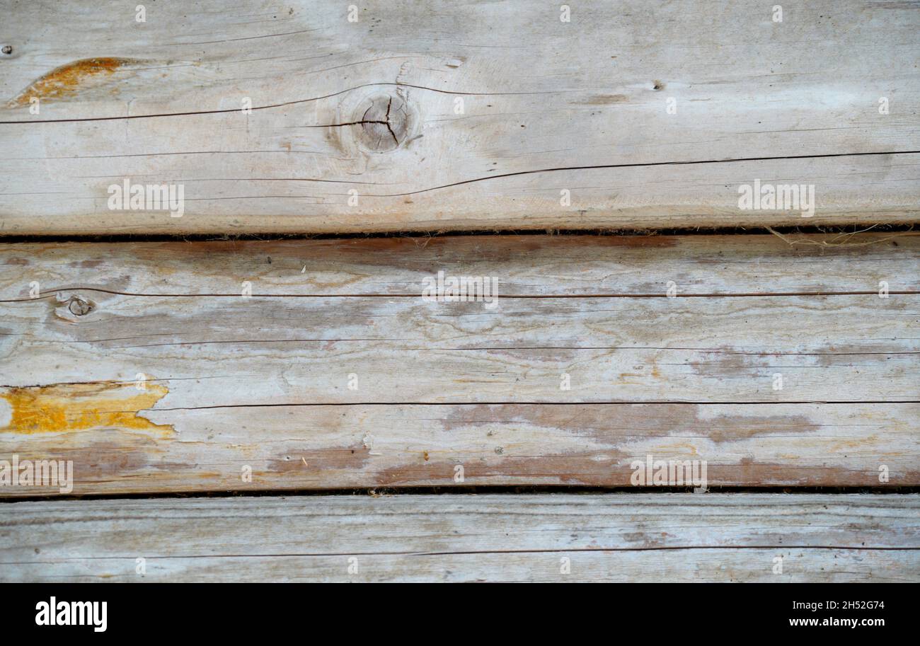 Wood with a fine rustic structure as a background, photographed in ...