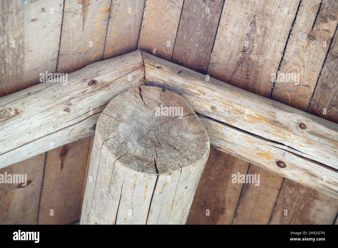Wood with a fine rustic structure as a background, photographed in ...