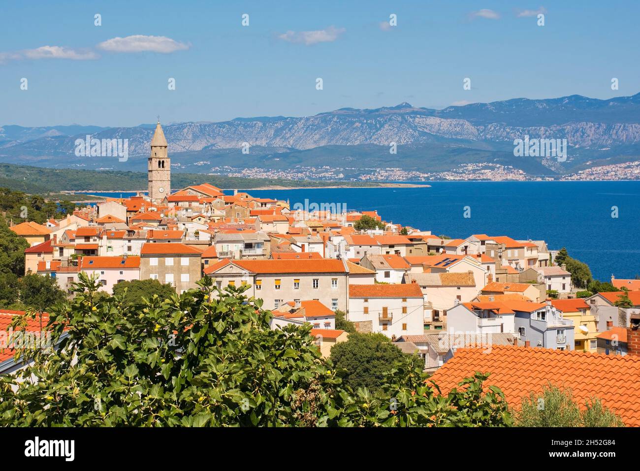 The historic medieval hill village of Dobrinj, Krk island, the Primorje ...