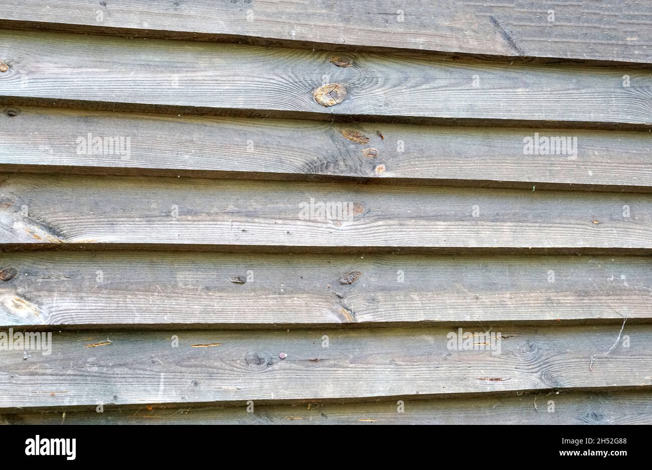 Wood with a fine rustic structure as a background, photographed in ...