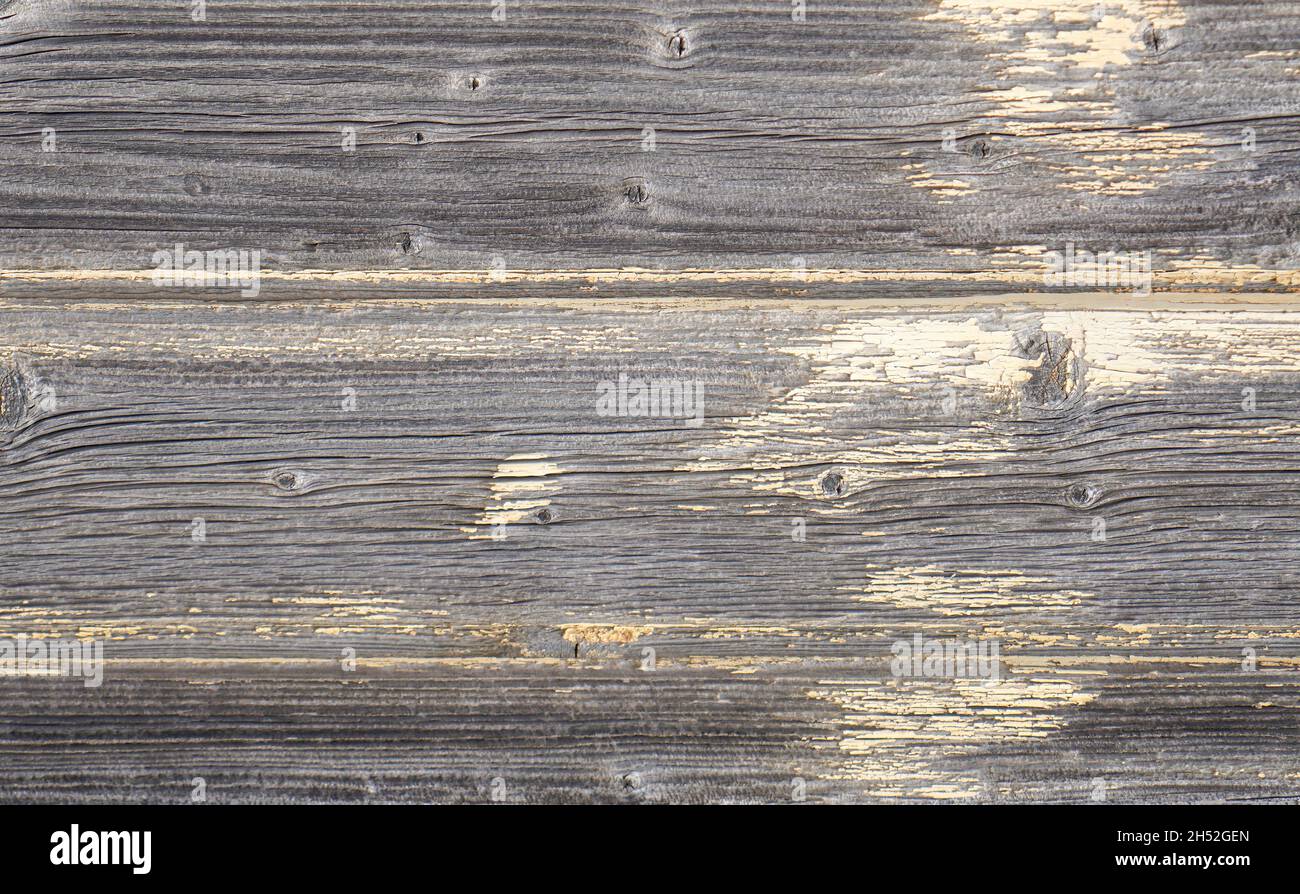 Wood with a fine rustic structure as a background, photographed in ...