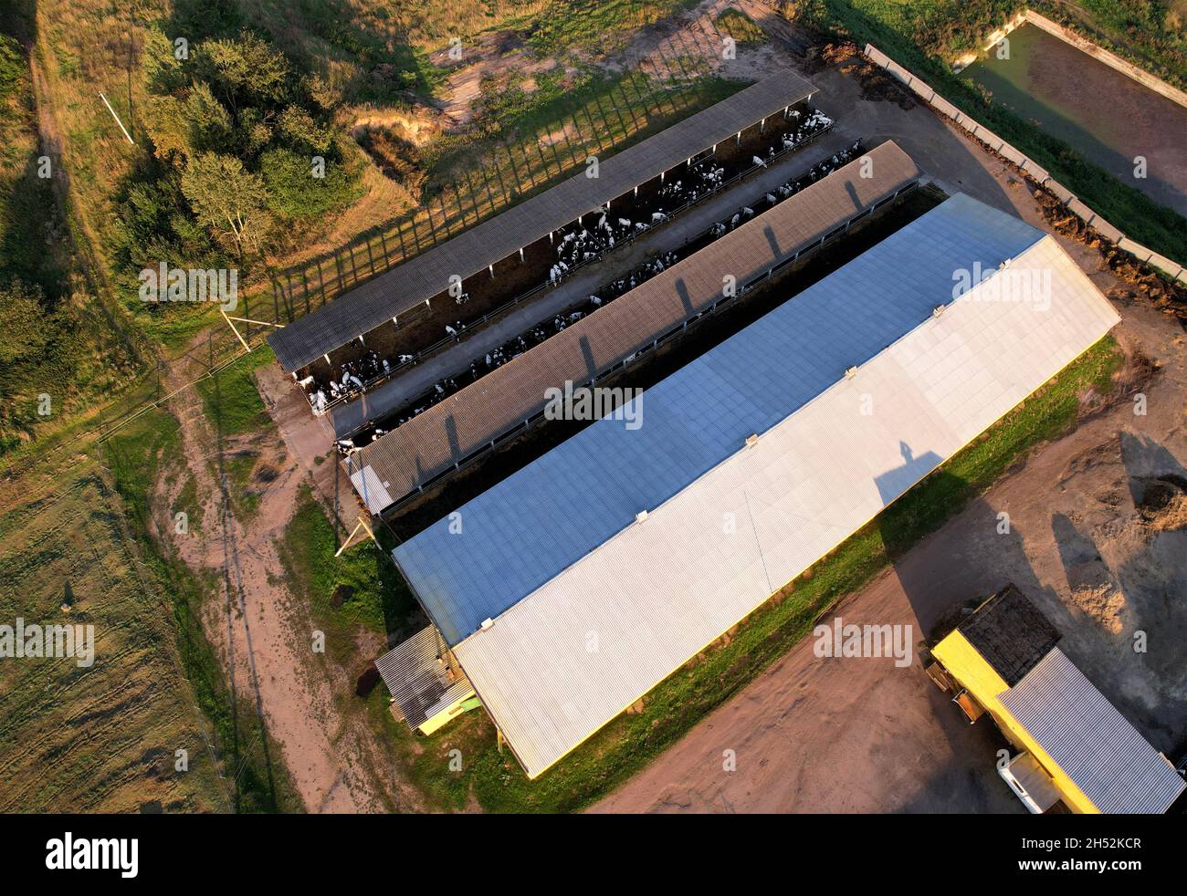 Agricultural Buildings with farm animals. Farm Storage Building with ...