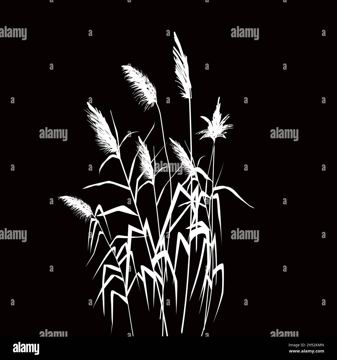 Tall weed Stock Vector Images - Alamy