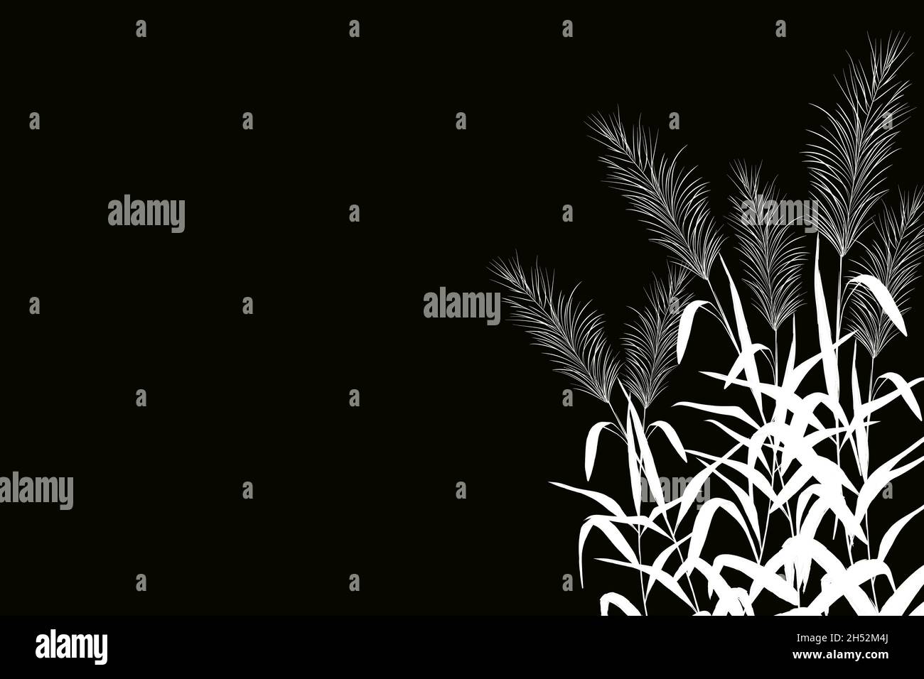 Vector hand drawing sketch with reeds or cane Stock Vector Image & Art ...