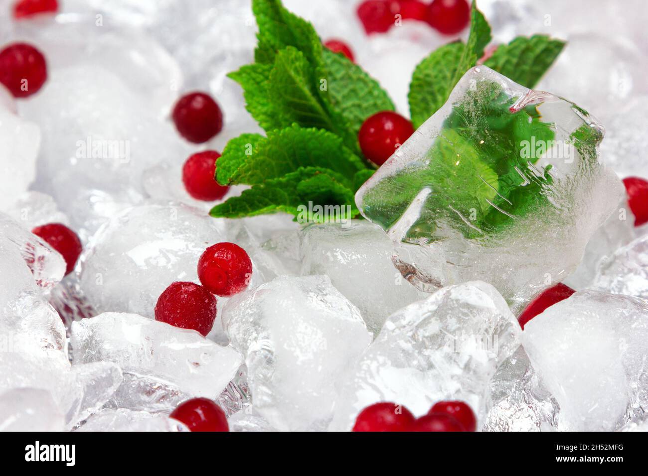 Frozen huckleberry hi-res stock photography and images - Alamy