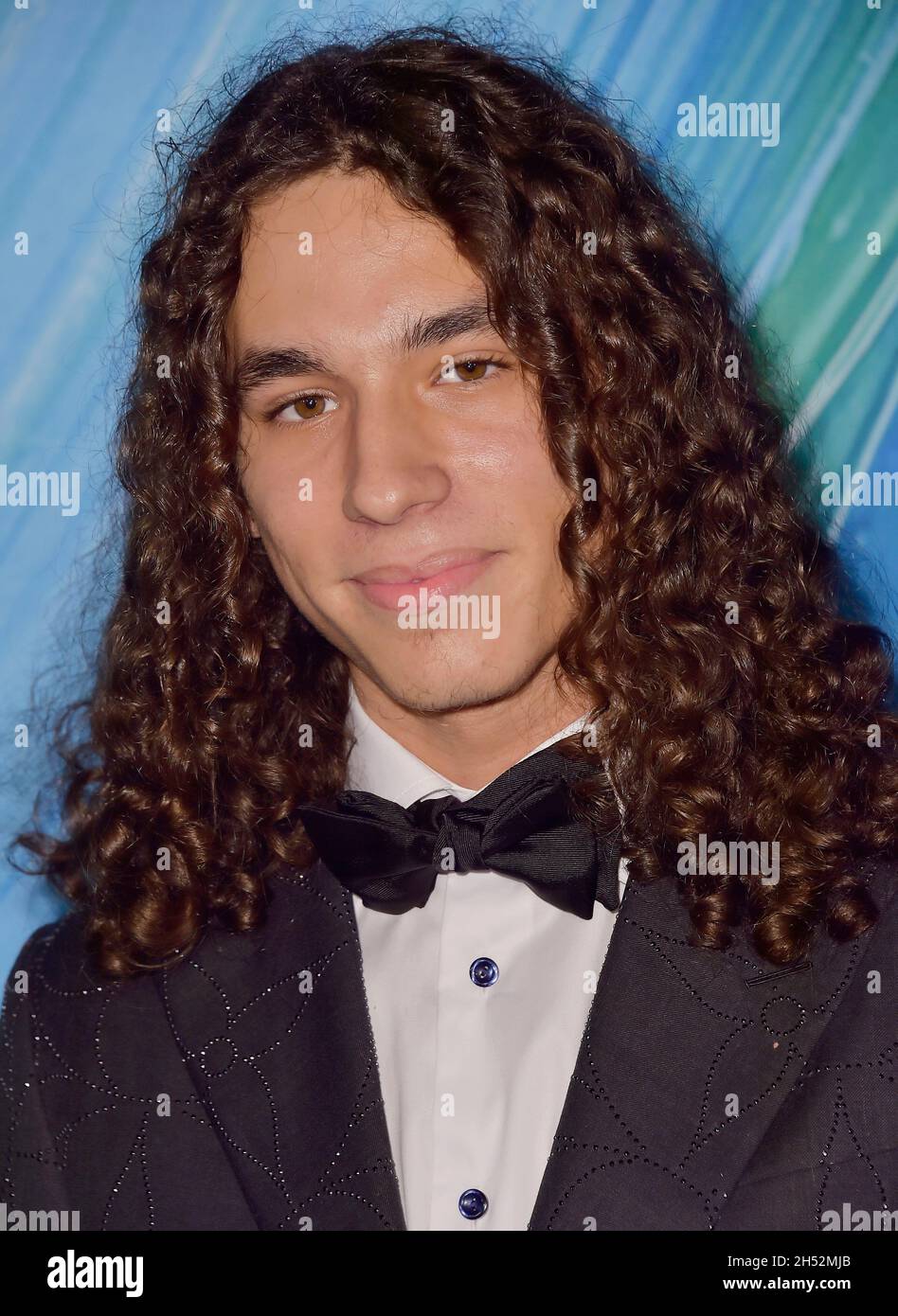 WEST HOLLYWOOD, CA - NOVEMBER 04: Jackson Myles arrives at the amfAR ...