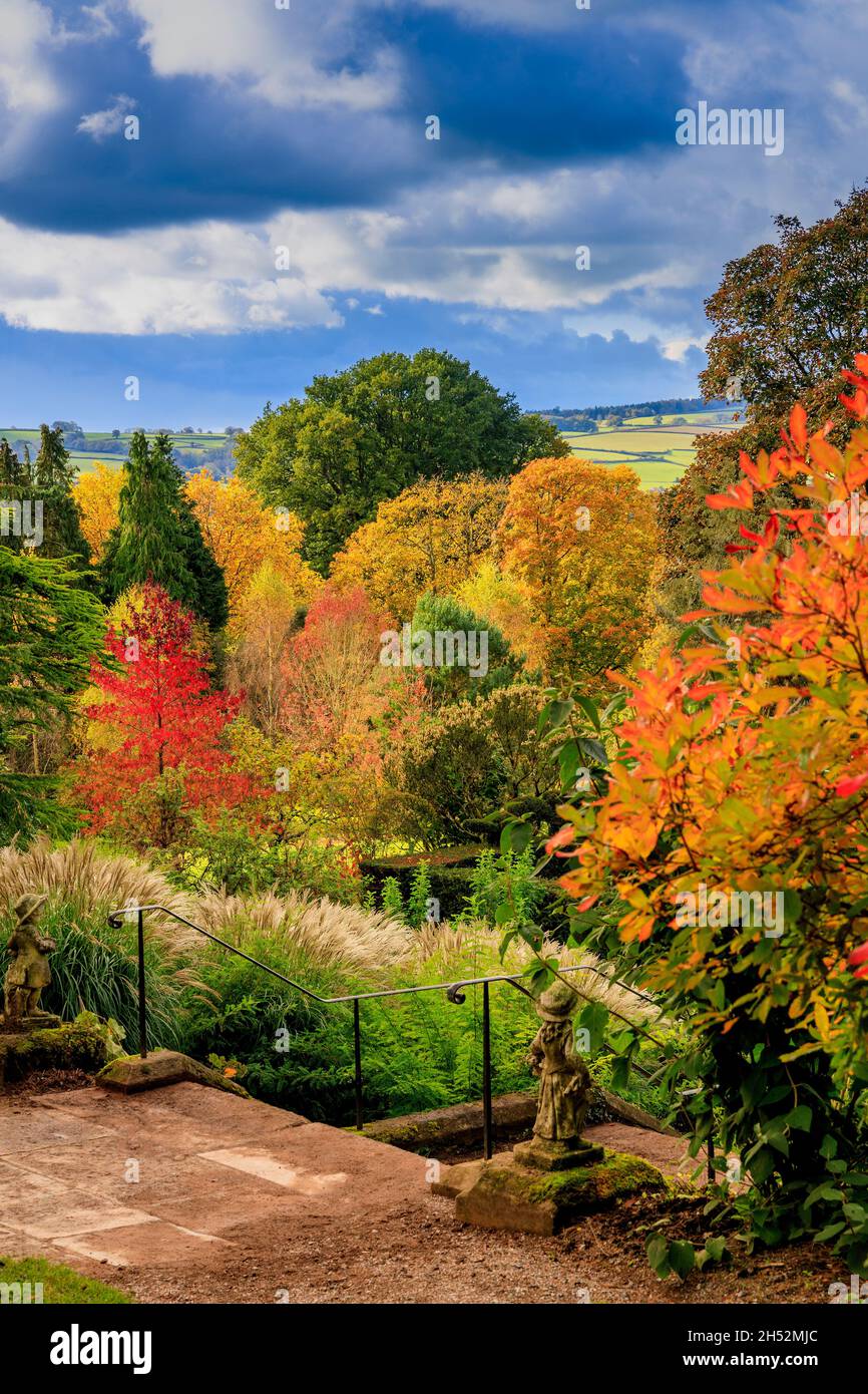 Vibrant autumn colour of acers and other trees in the grounds of ...