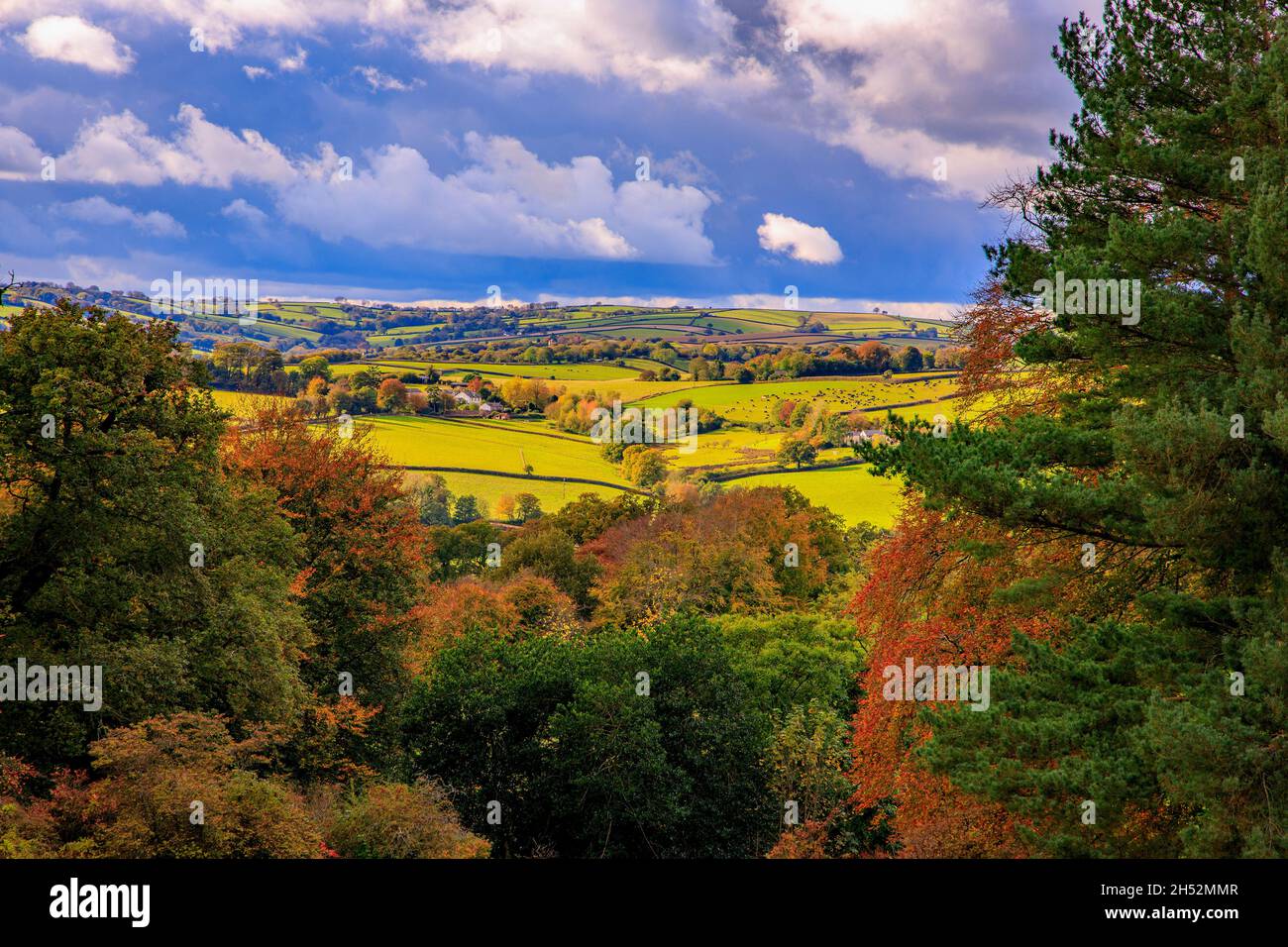Knightshayes Court High Resolution Stock Photography and Images - Alamy