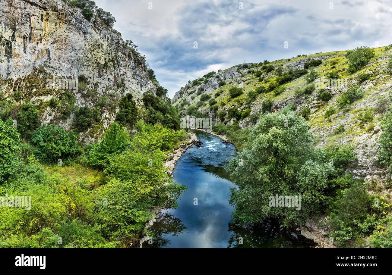 Angitis hi-res stock photography and images - Alamy