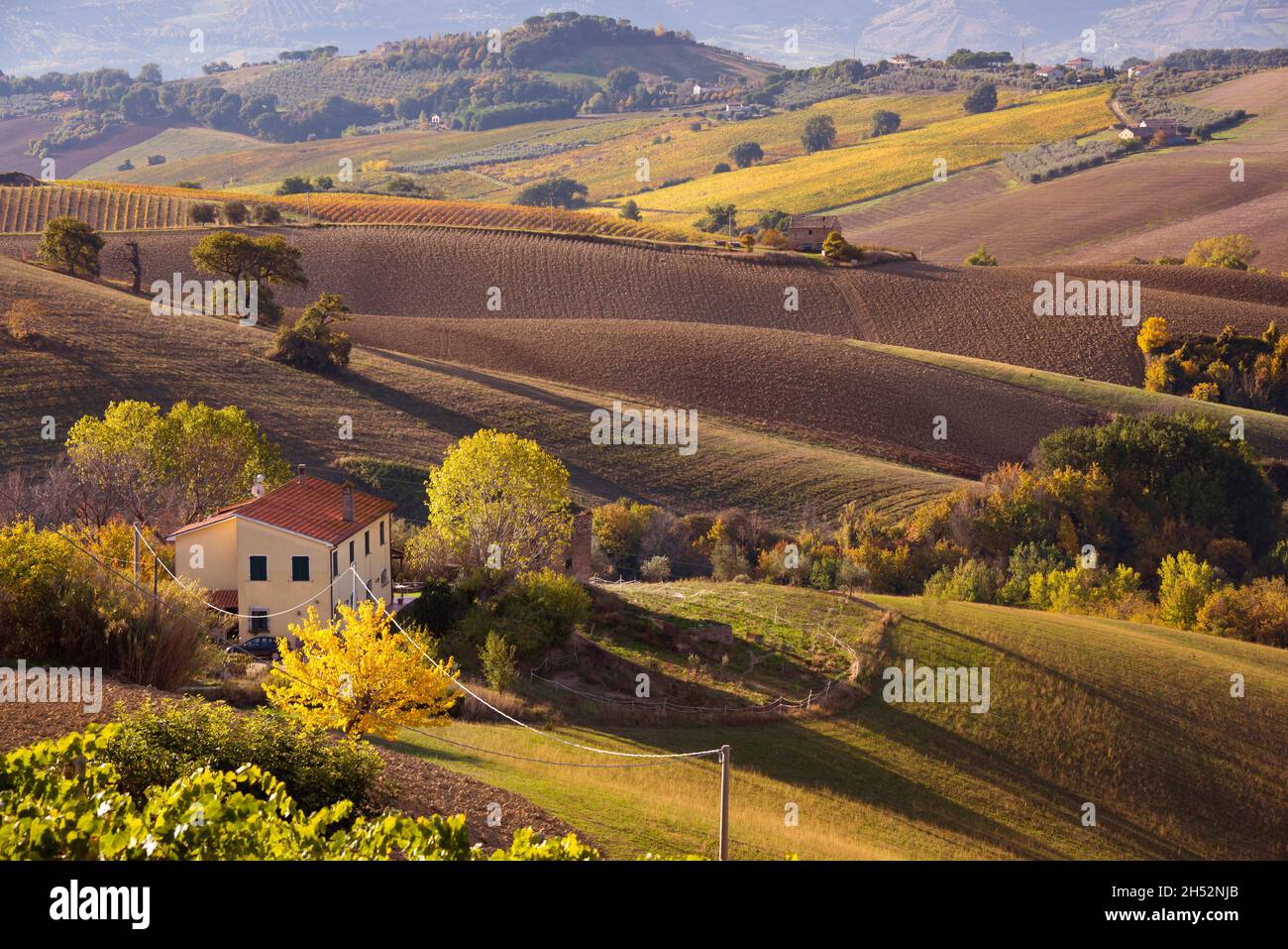 Rural landscape in fall with fields and country house Stock Photo - Alamy