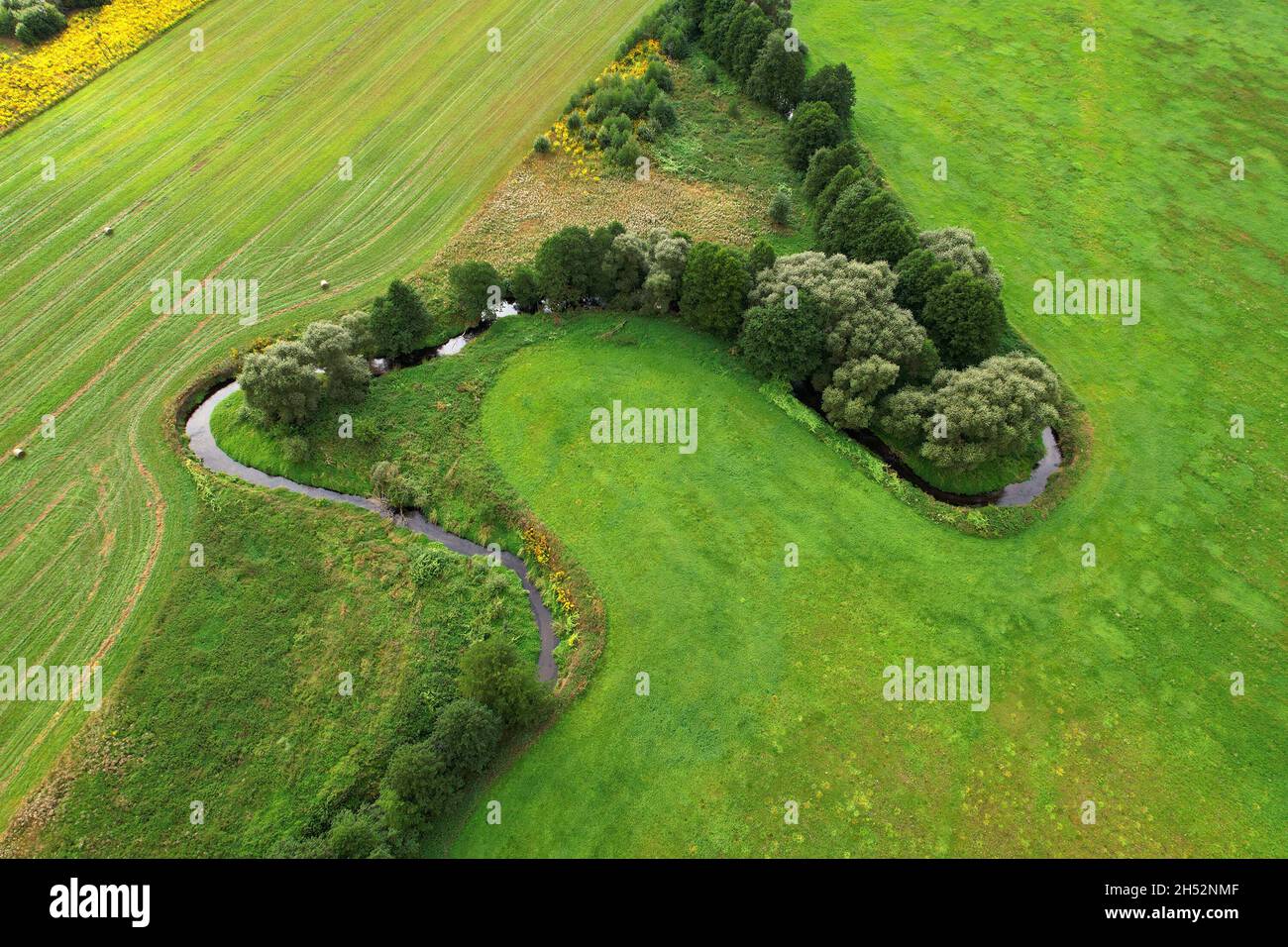 River in the wild. Aerial view of small river in middle of green field ...