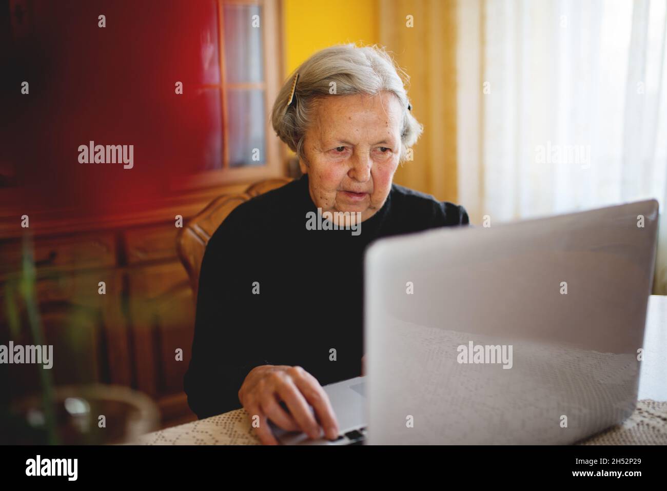 Grandmother looking at laptop using one hand typing searching internet ...