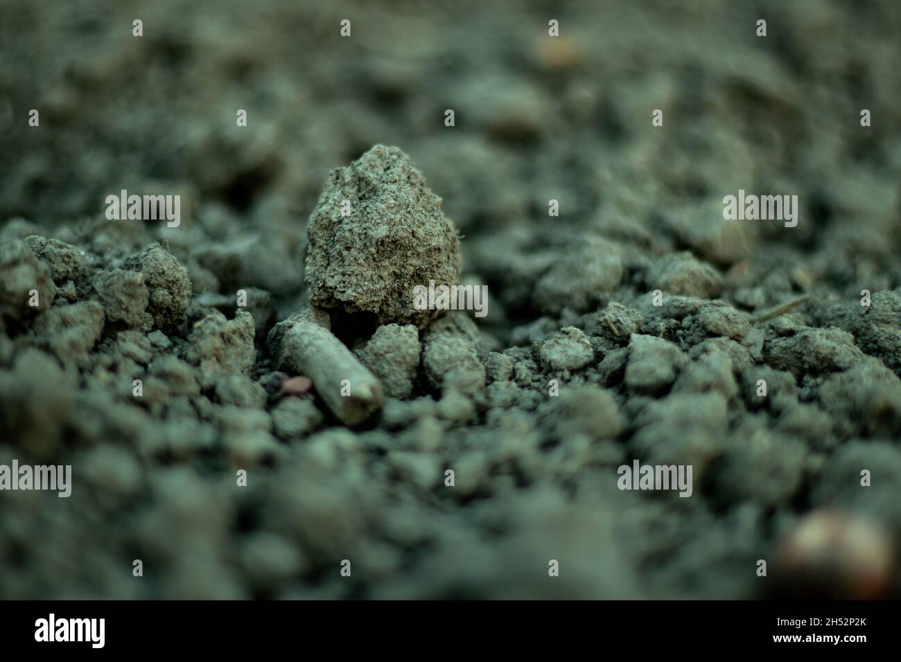 These small soil particles contribute to the soil's ability to supply ...