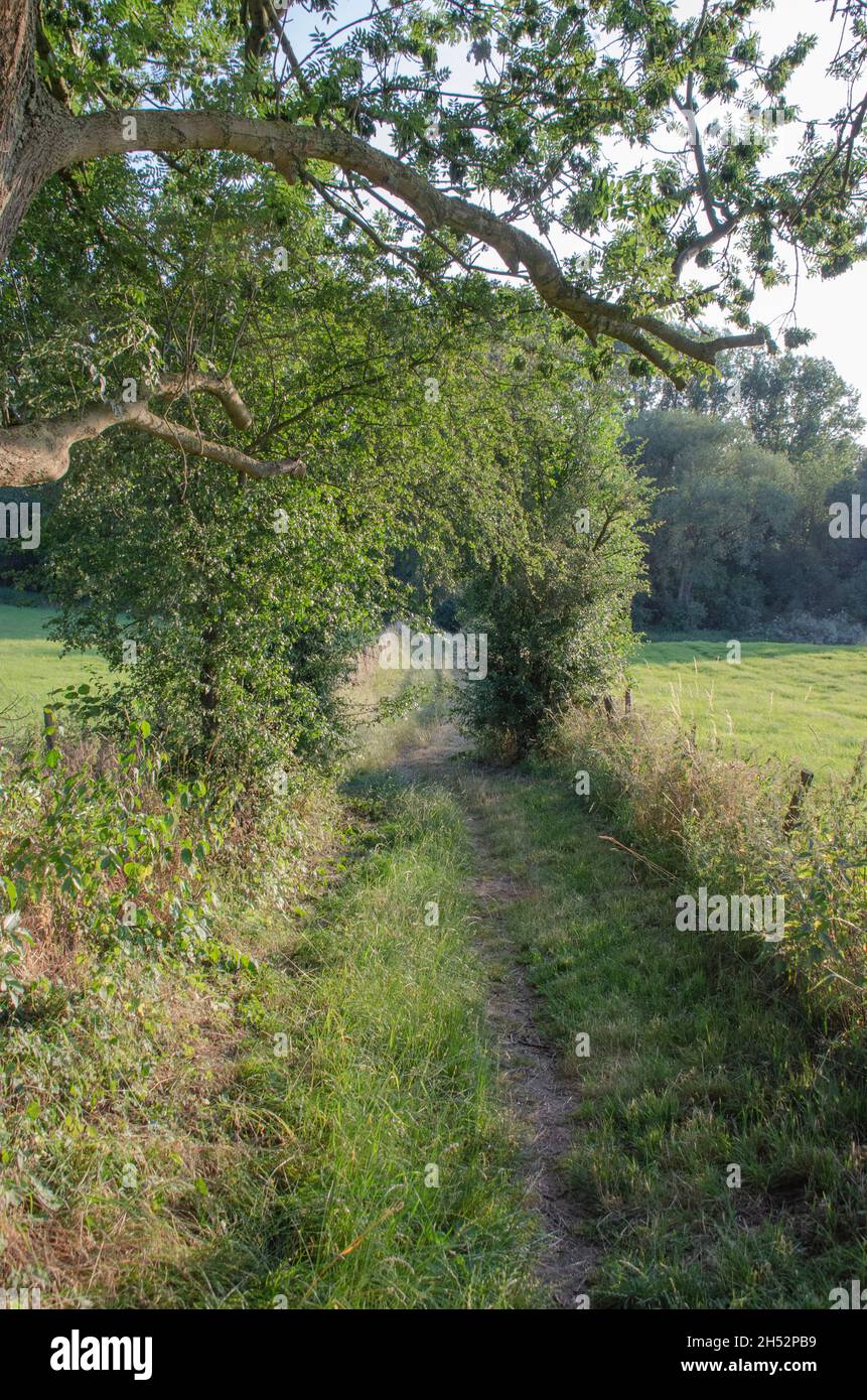 Campus campus landschaft hi-res stock photography and images - Alamy