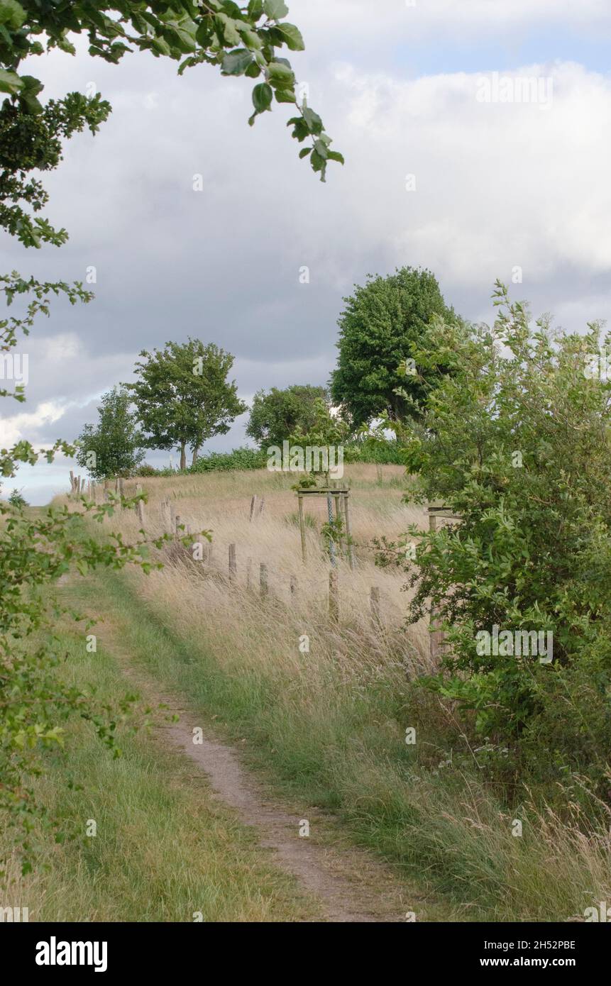 Campus campus landschaft hi-res stock photography and images - Alamy