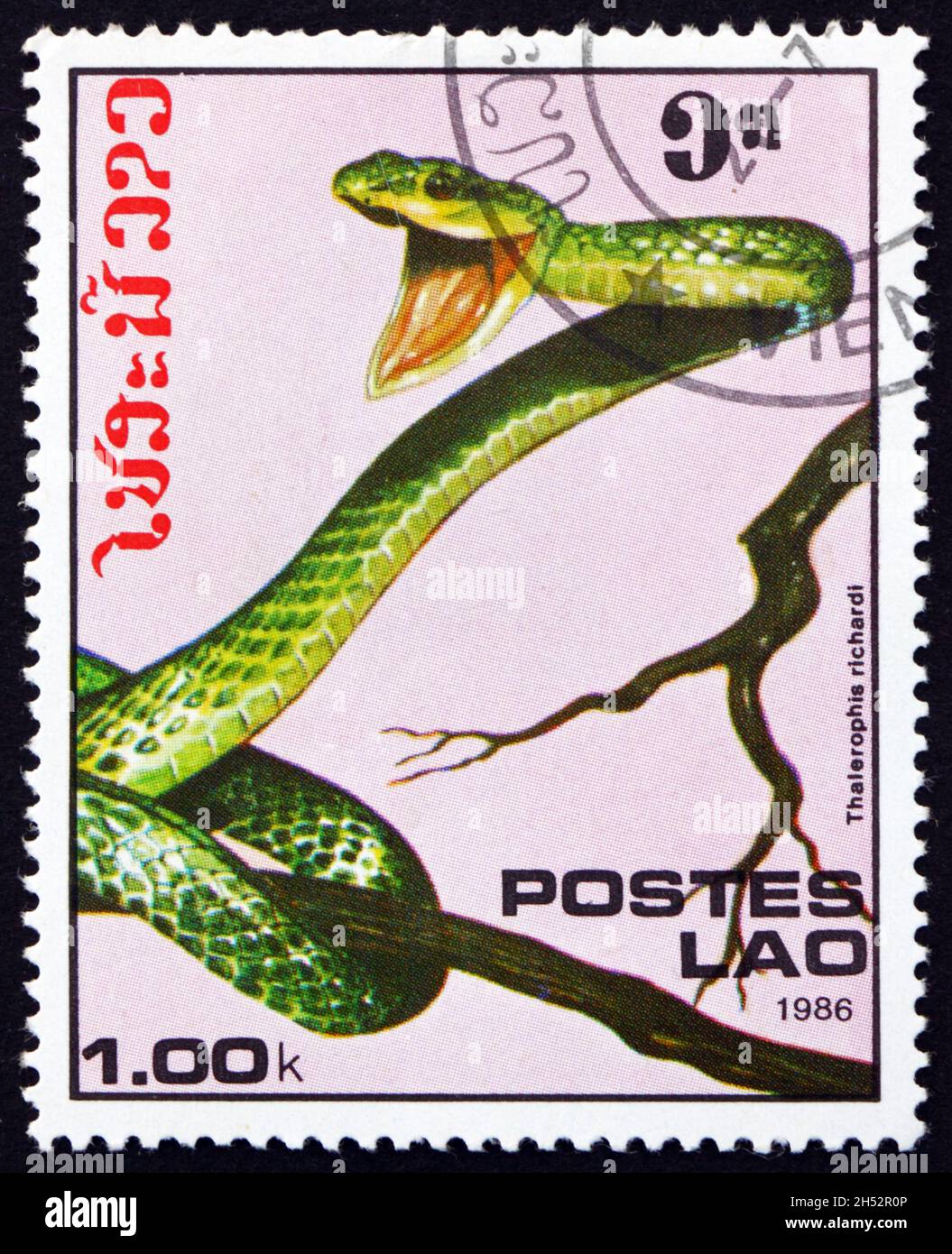 LAOS - CIRCA 1986: a stamp printed in Laos shows black-skinned parrot ...