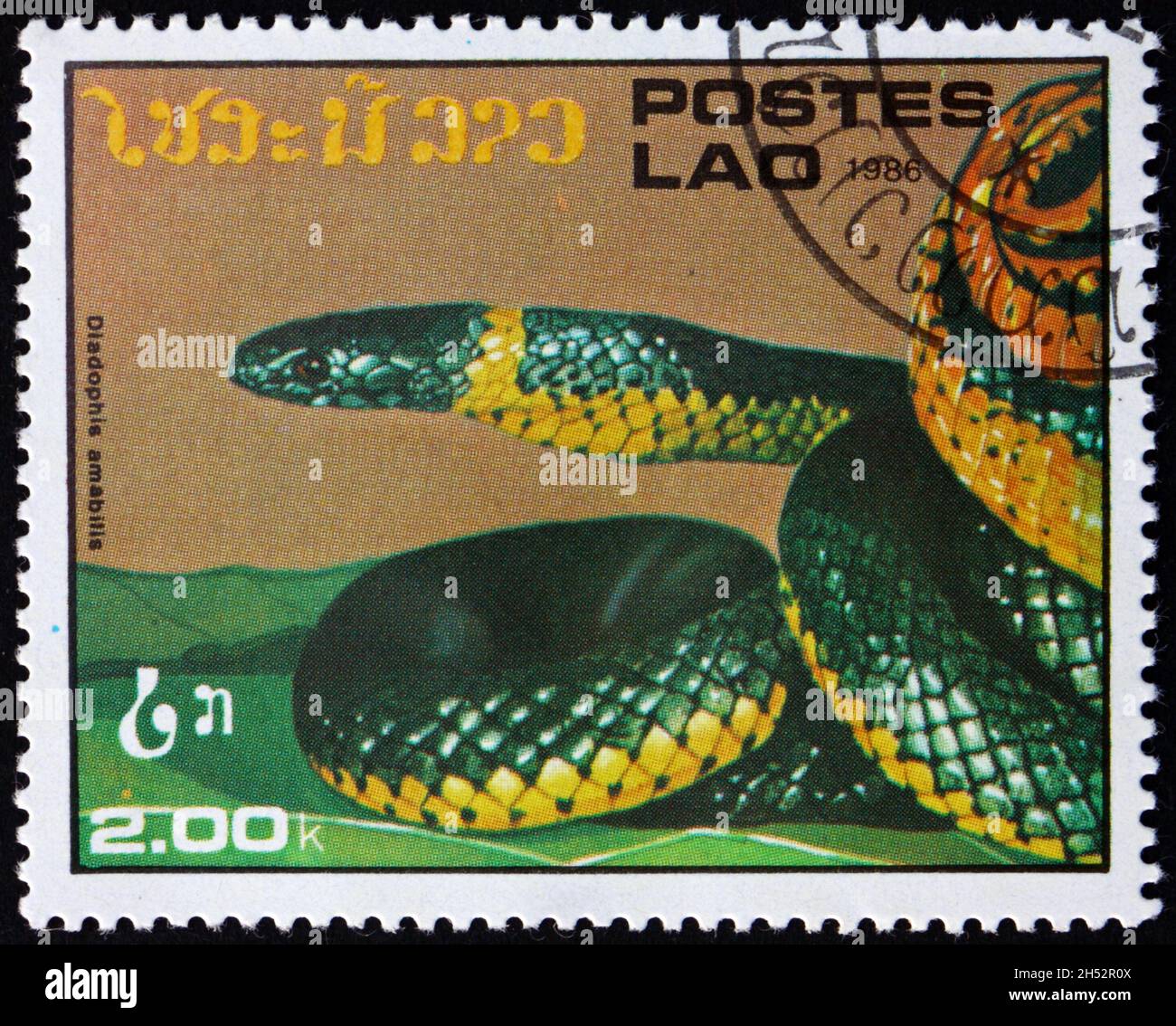 LAOS - CIRCA 1986: a stamp printed in Laos shows ring-necked snake ...