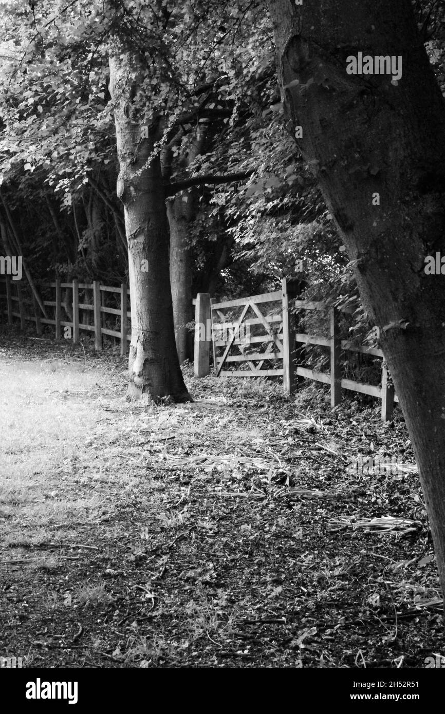 Gated england Black and White Stock Photos & Images - Alamy